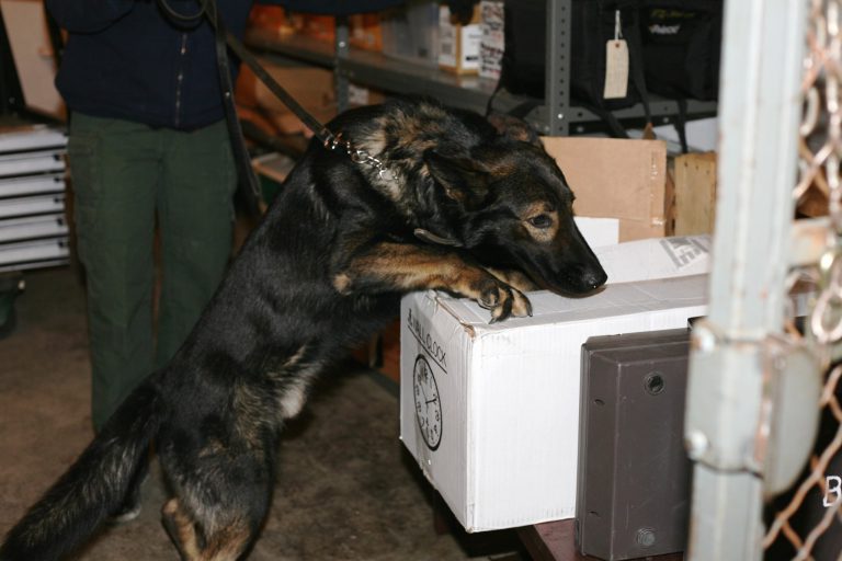 | Camp Dodge – Iowa National Guard